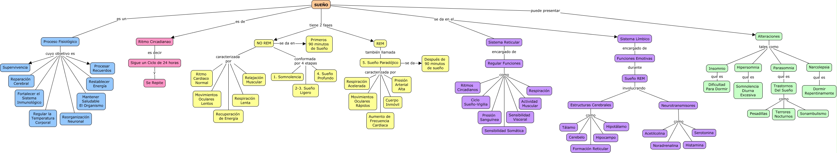 Sueño Mapa Grupal - ¿Qué es el sueño?